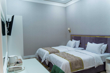 Hotel Sadriddin Ayniy