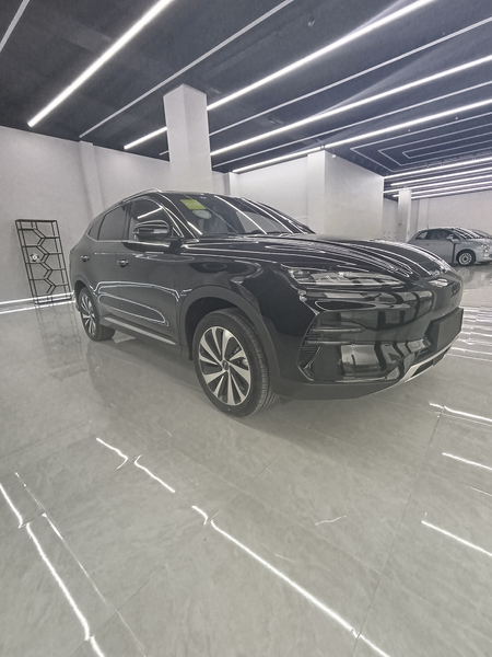 Byd song plus champion edition
