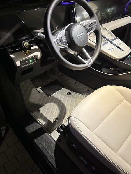 9D polik / коврики для Haval Xiaolong Max