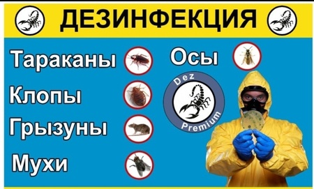 Дезинфекция Дизинфекция