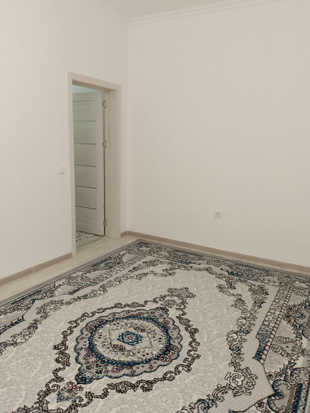 Kvartira bor faqat qizlar olunadi