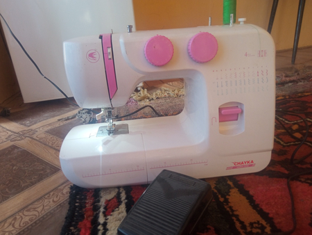 Srochno sotiladi  nomi (Chayka2250)