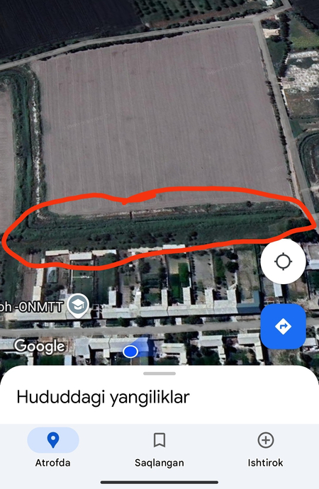 qamish sotiladi optim