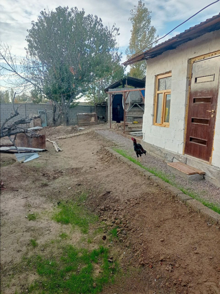 Продается мини ферма