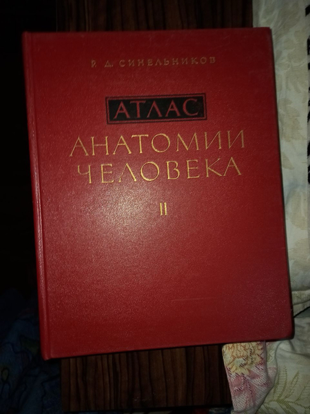 Анатомии человека 2/3 том