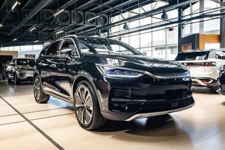 Gonzo Motors - BYD Tang Champion Edition