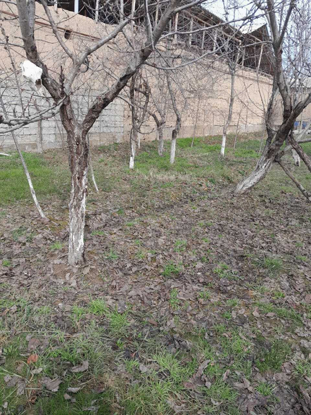 Yer sotiladi 6 sotix