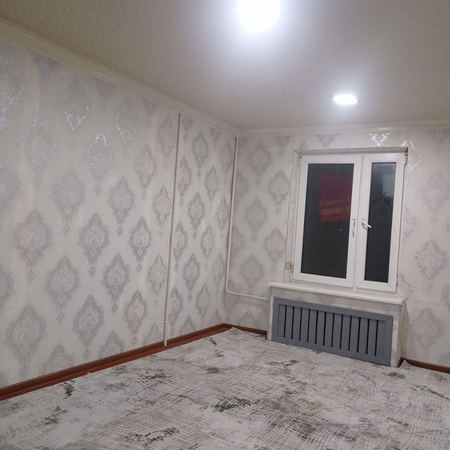 Algoritmdan qizlarga arenda