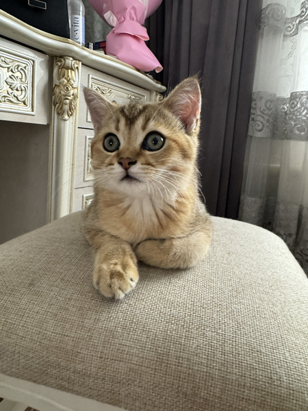 Мальчик страйт