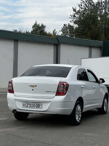 Cobalt Ltz 2019