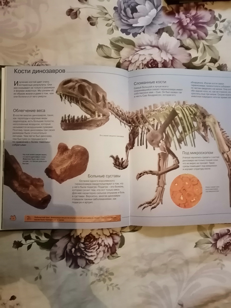 Книги детские. Россия.
