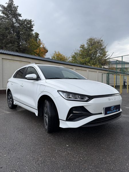 Byd e2 full pozitsya oq