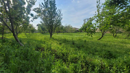 №  1101  земельный участок в районе Чархин