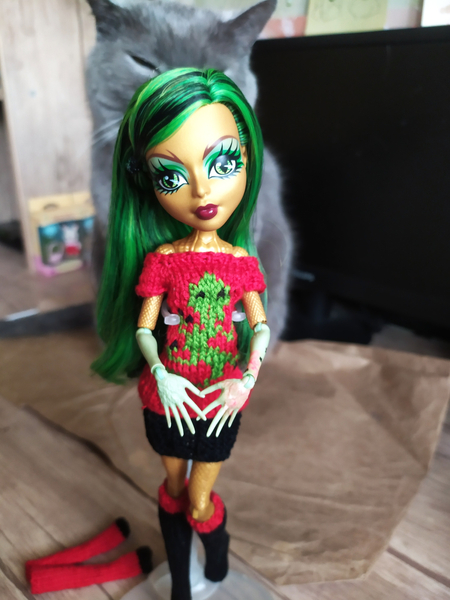 Кукла Монстер хай Monster high Джинафаер Лонг