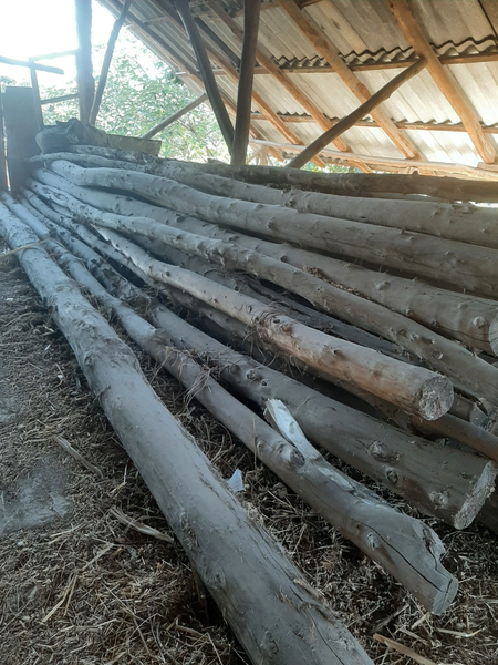 TERAK MAHSULOTI      sotiladi  .