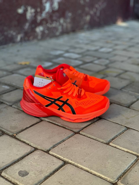 Asics Vallibolniy