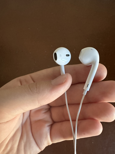 Earpods org lightning