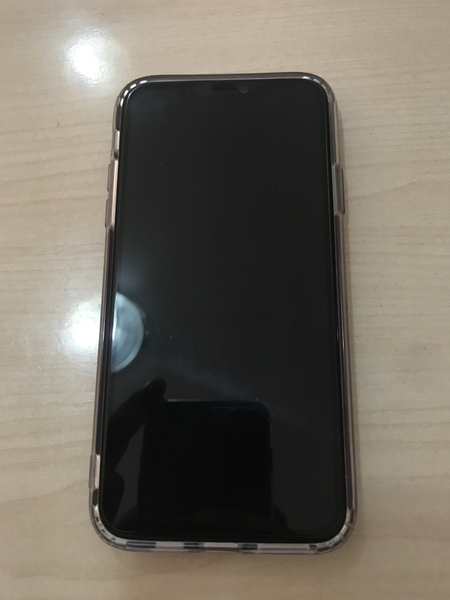 Iphone 11 pro max 256 gb