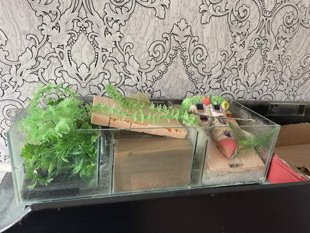 Akvarium sotiladi narxini kelishamiz