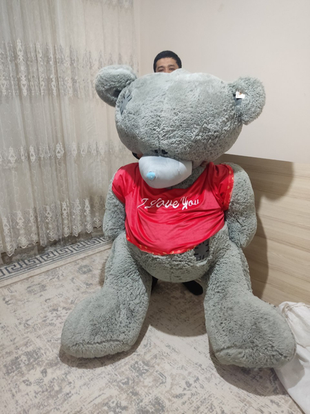 Teddy ayiqlari va yumshoq oyinchoqlar