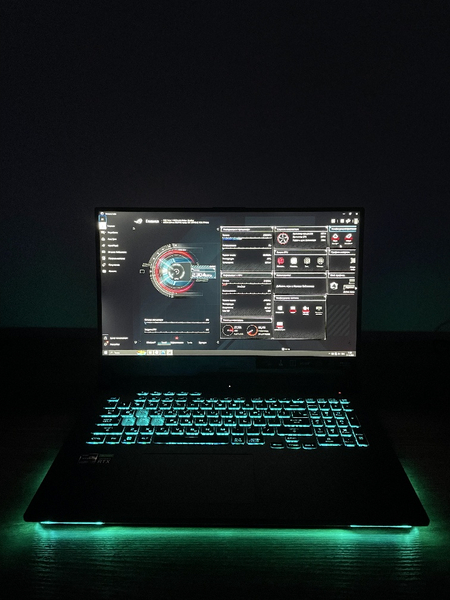 Asus Rog Strix G713RM