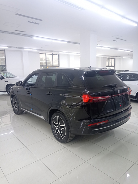 Dongfeng Fengon 2024