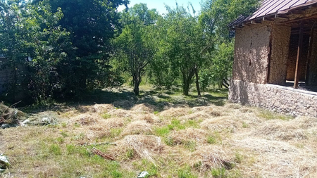 Dala hovli uchun yer SOTILADI.