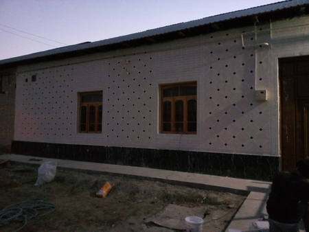 Fasad Travirtin Uzbekiston Bo\\\'ylab