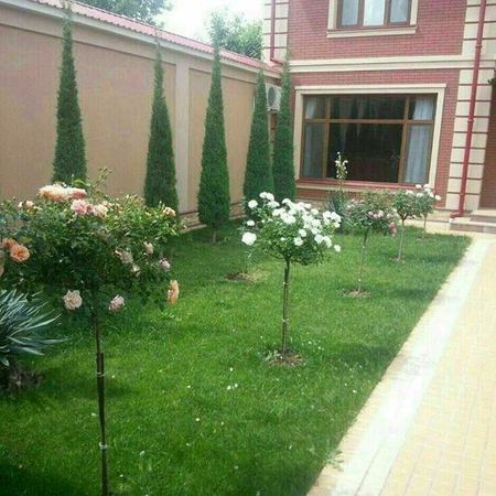 Ustalar xizmati arzon sifatli narxlarda taklif qilamiz.
