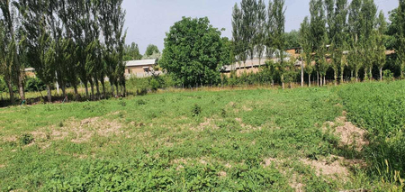 Срочно продам земля в хорошим месте