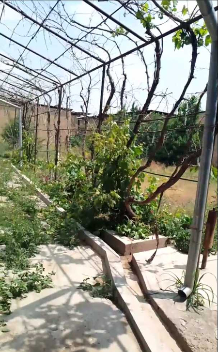 Байткургонда 12 сотих йер сотилади