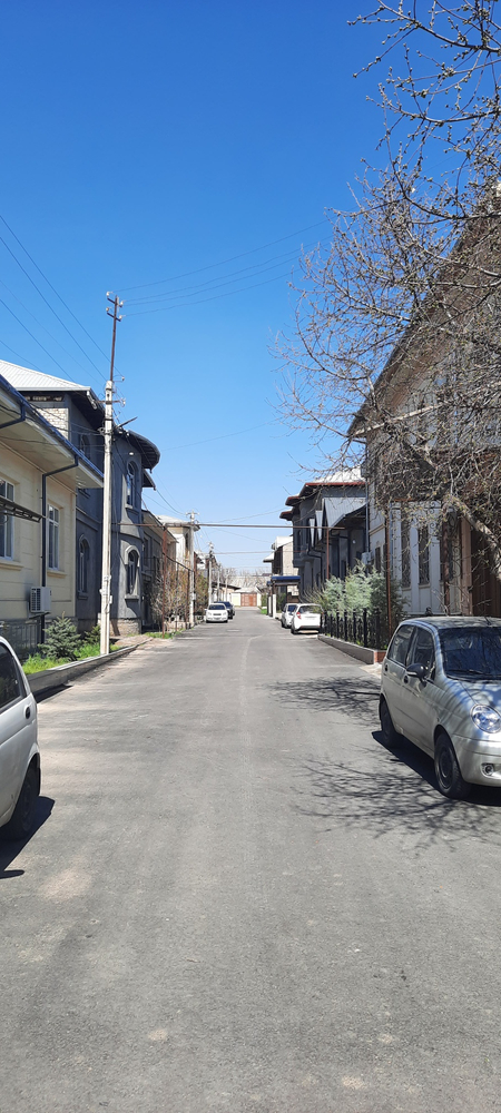 Дурмень цен.6с.6хона.