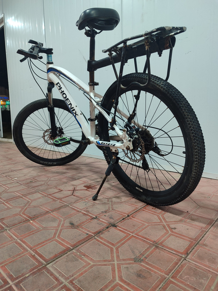 Velosiped PHOENIX (24)