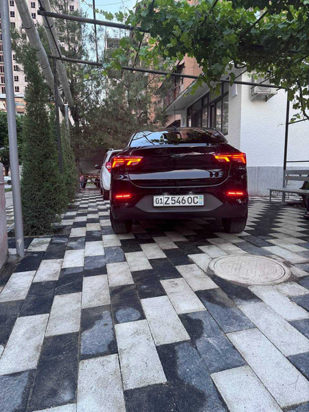 Onix premier 2024