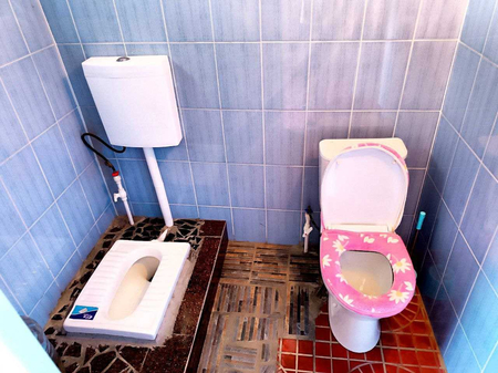 Dala hovli, Dacha. O'zimizniki. Pochinga ulgirib qolila