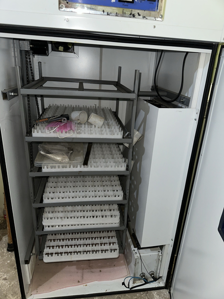 İnkubator  650 talik