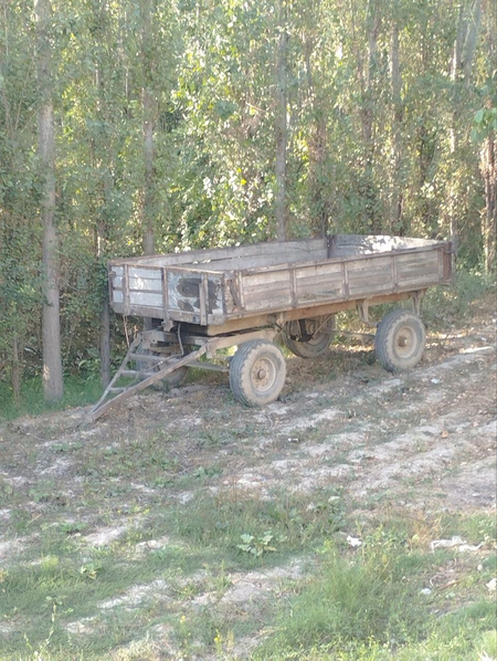 Traktor  MTZ80 BELARUS