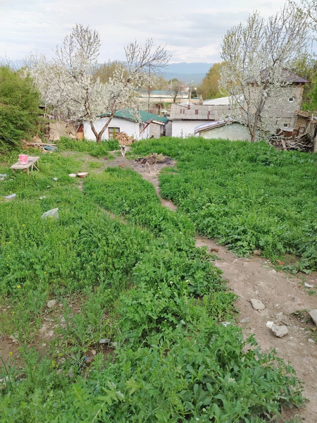 Продается Чирчик ш. 8 сотих 4х ховли
