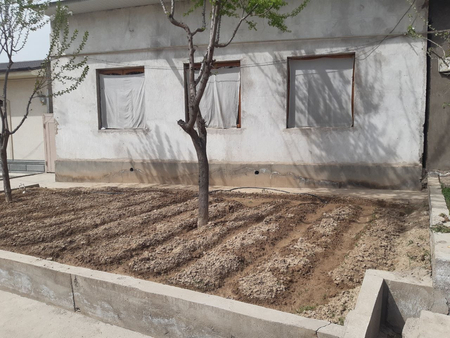 B.R.R Almazor tumani