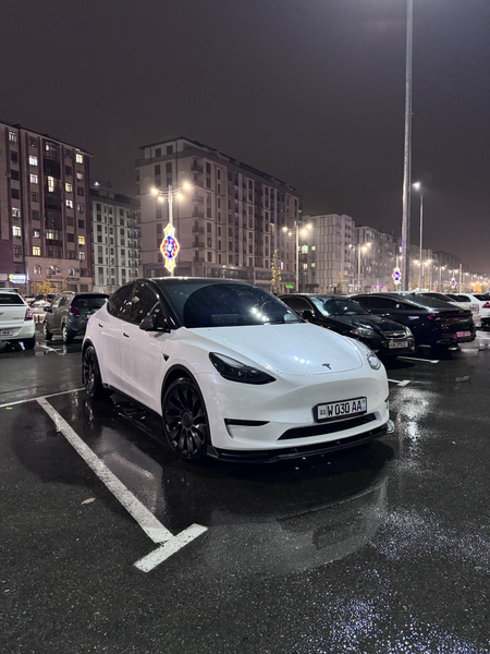 Tesla model y performance 3.8 sek 2023