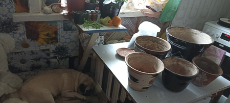 Продаю цветочные горшки