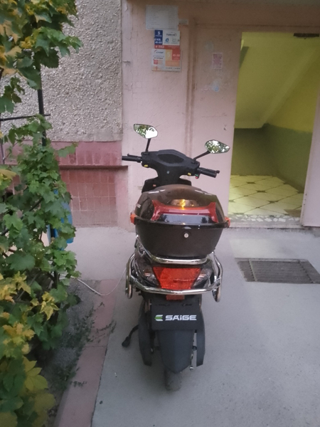 Madeli Saige olganlar mazza qilib minadi