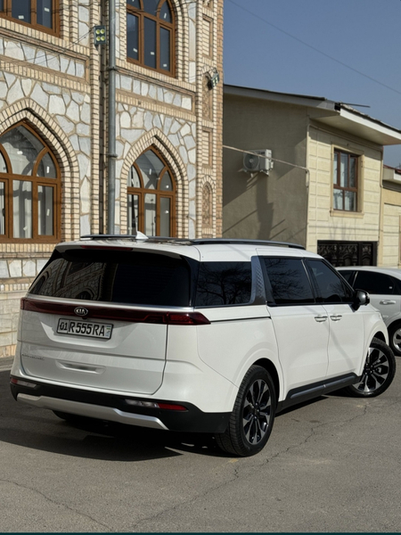 Экскурсия на Kia carnival.