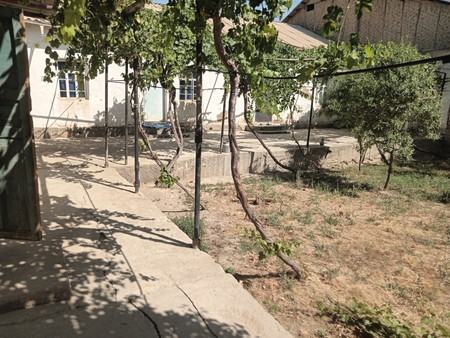 Ховли сотилади 8 сутикли нарпай 2 булимда