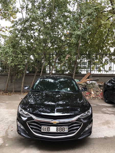 Malibu premier 2021 top toza