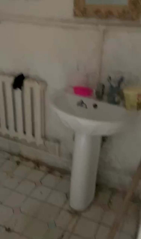 (22) Сдаётся участок Корасув 6 ,,,10 хонали 10 суток