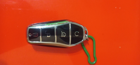 Чехол для ключа BYD