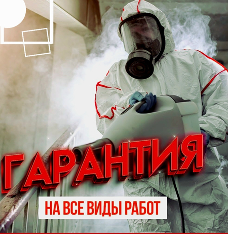 Дезинфекся услугй