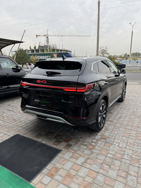 Byd chempion 2025 madel sotuvda tayyor soni cheklangan