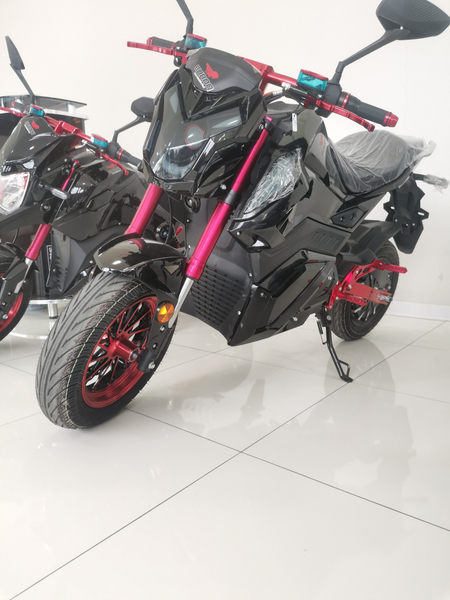 Elektro bike model r